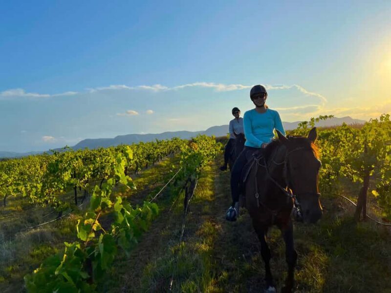 Hunter Valley: Sunset Horse Riding Tour 90min - An In-Depth Look at the Sunset Horse Riding Experience