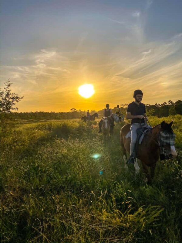 Hunter Valley: Sunset Horse Riding Tour 90min - The Value of the Experience