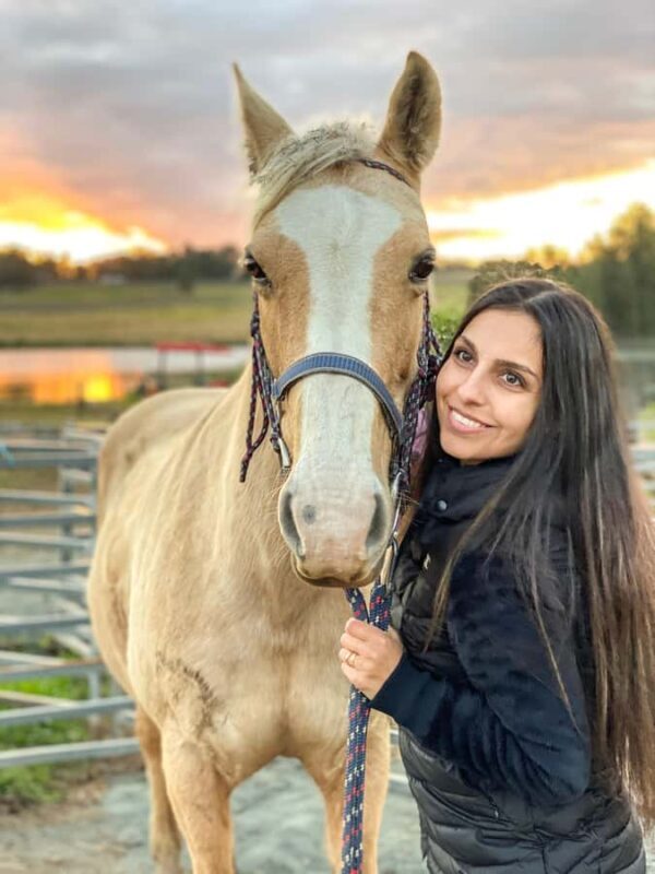 Hunter Valley: Sunset Horse Riding Tour 90min - Final Verdict