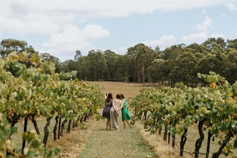 Hunter Valley: Tastes of the Hunter Half Day Tour - Who Will Love This Experience?