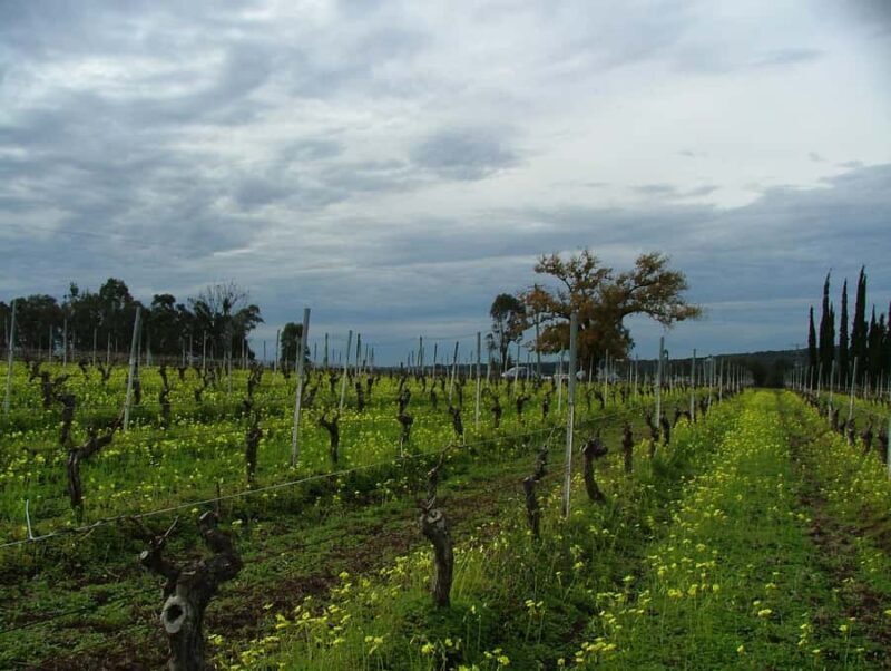 Hunter Valley: Uncork the Hunter Full-Day Wine Tour - FAQs