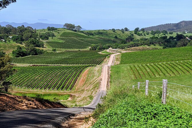 Hunter Valley wine and cheese starting from the Hunter region - Key Points