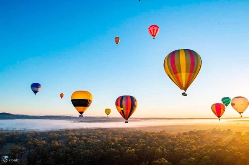 Hunter Valley Wine & Cheese Tasting Tour from Sydney - FAQ