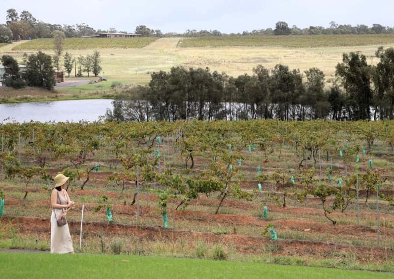 Hunter Valley: Wine, Chocolate and Lunch All Inclusive Tour - FAQ