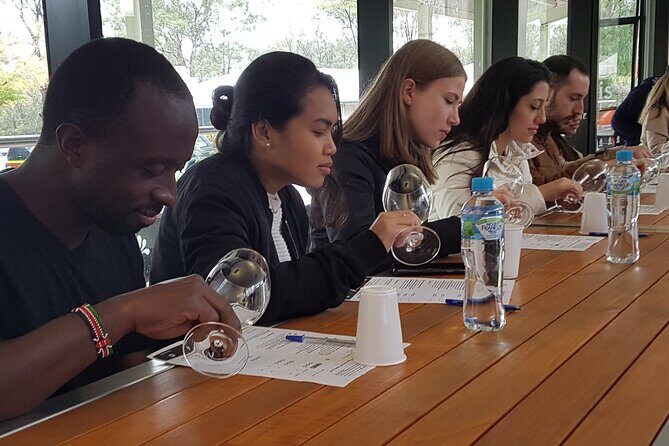 Hunter Valley Wine Country Helicopter Flight from Cessnock - Who Should Consider This Tour?