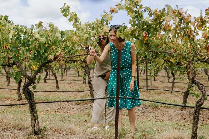 Hunter Valley Wine, Food & Vine Tour with Behind the Scenes - Stop 2: Pie & Wine Pairing