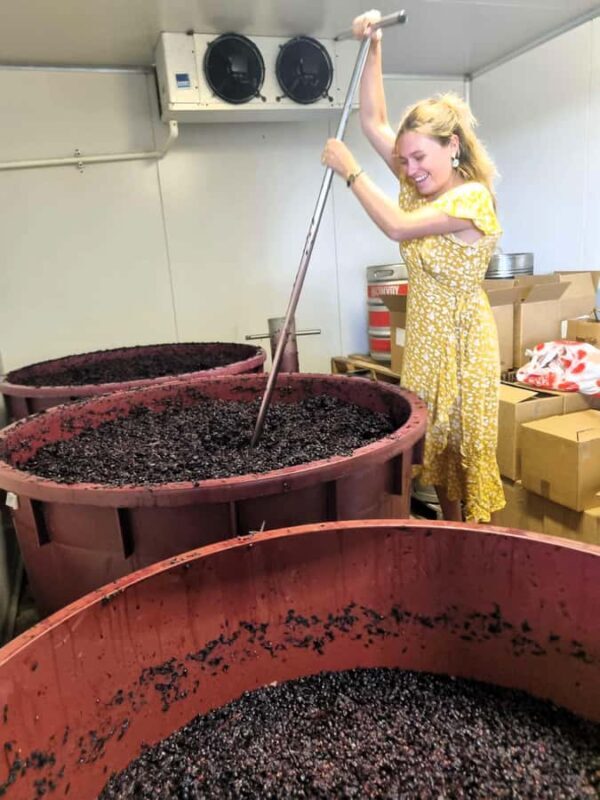 Hunter Valley: Wine, Gin, Cheese and Chocolate Tour - FAQs