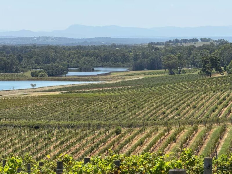 Hunter Valley Wine Tasting | Private Day Tour | From Sydney - Real Guest Insights and Hidden Gems