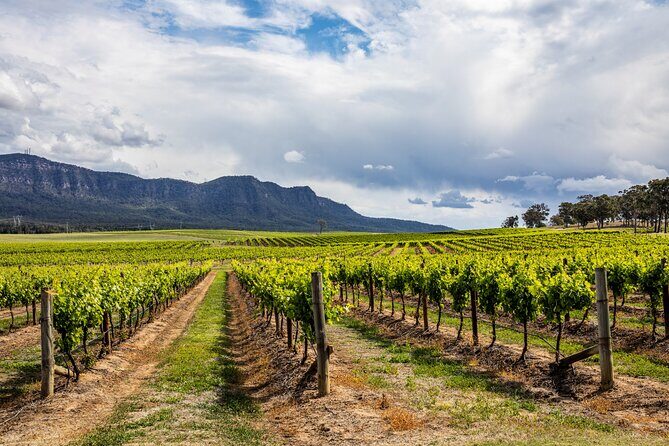 Hunter Valley Wine Tasting Tour from Sydney - Key Points