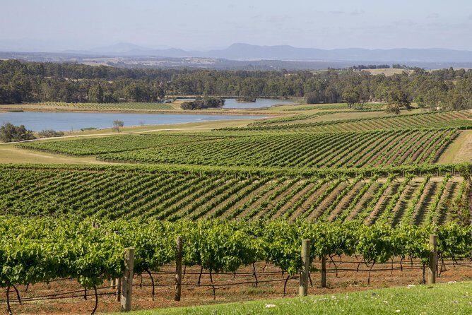 Hunter Valley Wine Tour from Sydney with Lunch and 3 Cellar Door Tastings - Frequently Asked Questions