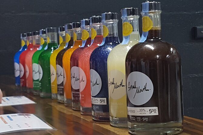 Hunter Valley Wine Tour + Lunch, Gin, Cheese, Choc from Newcastle - Who Will Love This Tour?