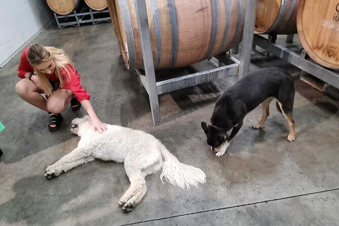 Hunter Valley Wine Tour + Lunch, Gin, Cheese, Choc from Newcastle - FAQs