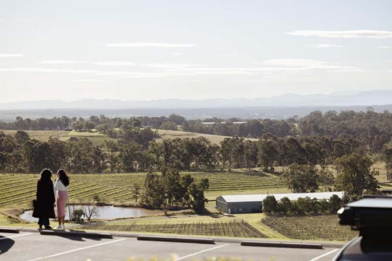 Hunter Valley: Wine Tour with 2-Course Lunch, Choc & Cheese - Who is This Tour Best For?