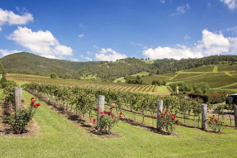 Hunter Valley: Wine Tour with 3 Tastings and Garden Lunch - Final Thoughts
