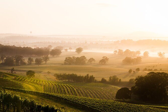 Hunter Valley Winery - Premium Tasting for Private Group Tours - An In-Depth Look at the Itinerary