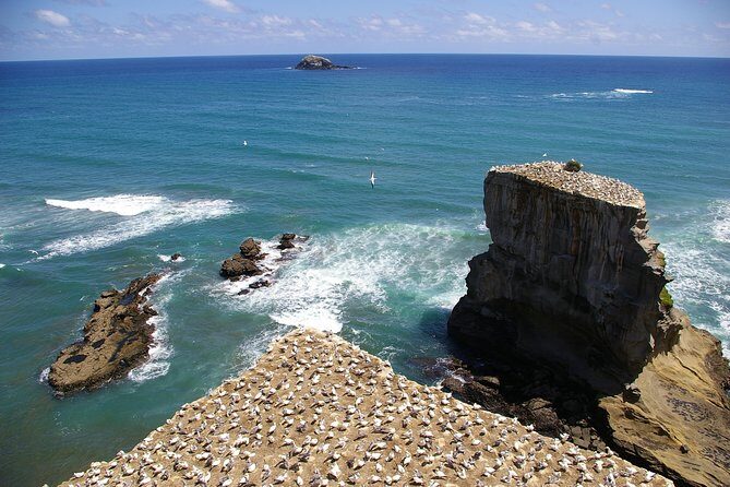 Hunua Falls and Blue Springs (Te Waihou): Private Tour - Who Is This Tour Best Suited For?