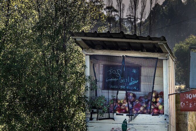 Huon Harvest (wine, cider & local produce) - Key Points  