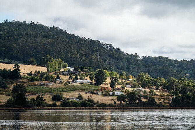 Huon Harvest (wine, cider & local produce) - Summary of the Experience  