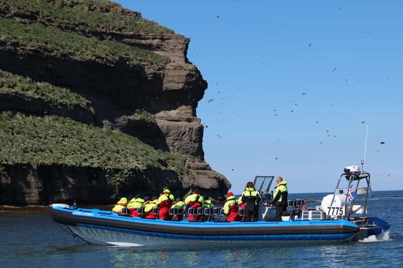 Húsavík: Original Big Whale Safari & Puffins by Speedboat - Logistics & Practical Tips