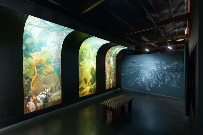 Húsavík: Whale Museum Entry Ticket - Is This Tour Worth It?