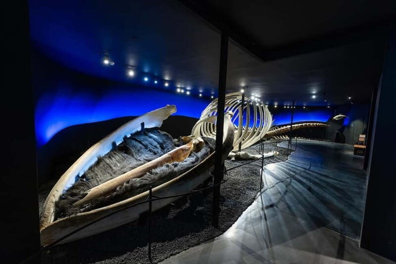 Húsavík: Whale Museum Entry Ticket - Final Thoughts