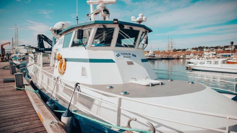 Húsavík: Whale Watching  Family Run with Indoor Seats - Who Should Consider This Tour?