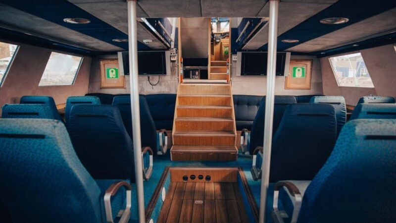 Húsavík: Whale Watching  Family Run with Indoor Seats - FAQs