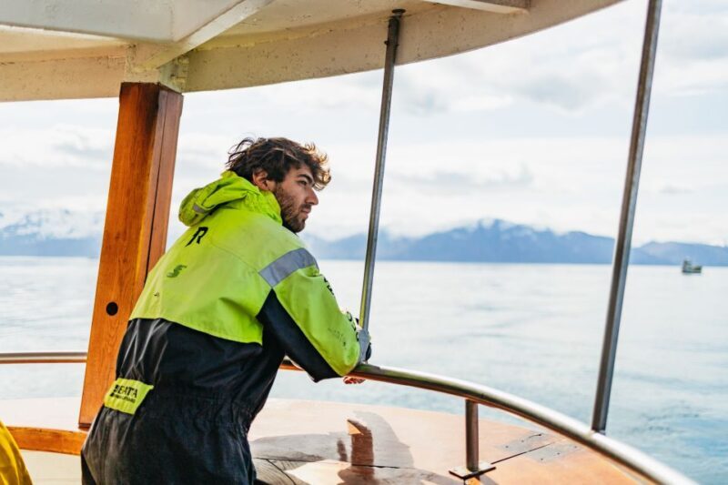 Húsavík: Whale Watching Tour with Guide - The Value and Pricing