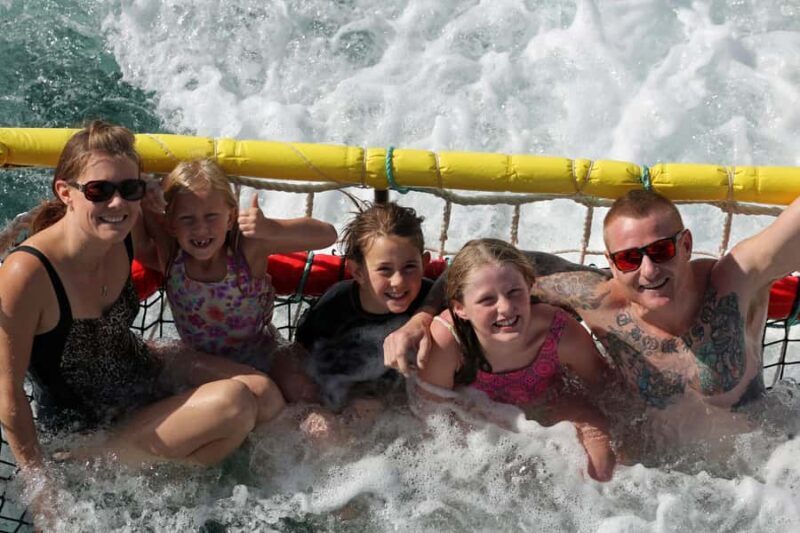 Huskisson: Dolphin Cruise & Boom Netting Experience - A Full Breakdown of the Experience