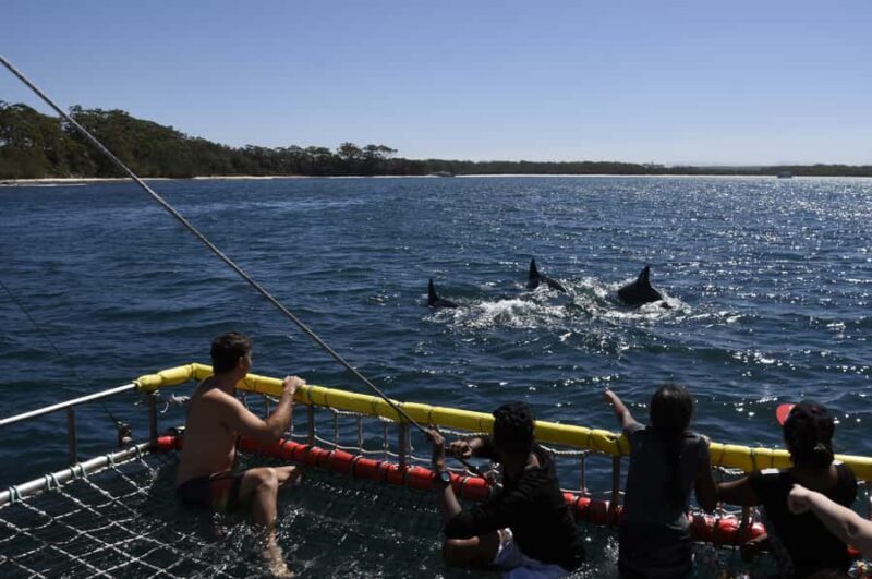 Huskisson: Dolphin Cruise & Boom Netting Experience - Who Should Consider This Tour?