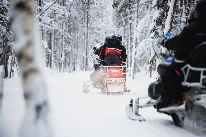 Husky and Reindeer Experience With Snowmobiling - Key Points