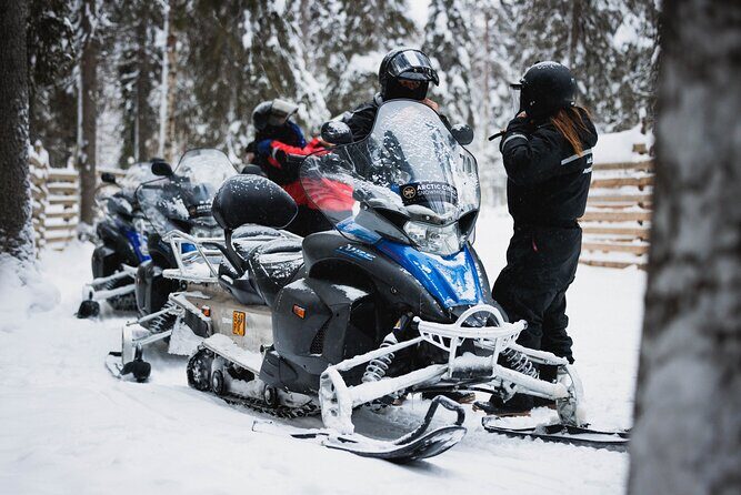 Husky and Reindeer Experience With Snowmobiling - The Sum Up