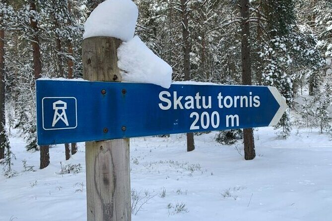 Husky dog sled/bike kart ride in Latvia ~ 3h group tour from Riga - Is It Worth the Price?