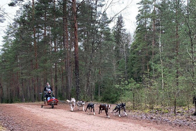 Husky dog sled/bike kart ride in Latvia ~ 3h group tour from Riga - Weather Sensitivity and Flexibility