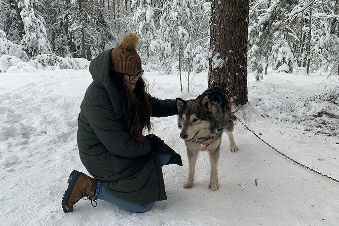 Husky dog sled/bike kart ride in Latvia ~ 3h group tour from Riga - Final Thoughts