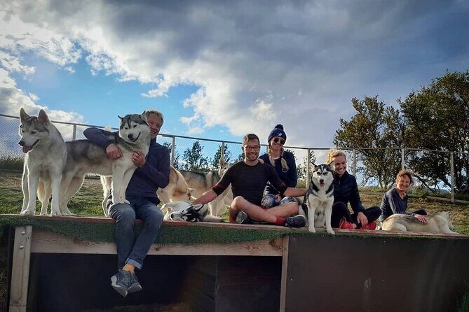 Husky Petting in Akureyri (private) - Why This Tour Delivers Real Value