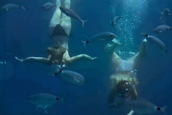 Hvar (Hidden Bays) & Brac (Golden Horn) PRIVATE full day tour - Final Thoughts