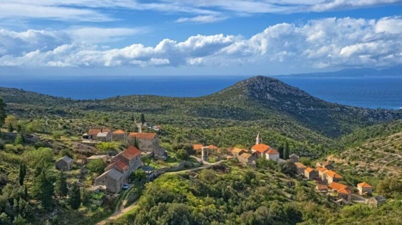 Hvar: Island tour with Wine and Olive Oil Tasting - Key Points