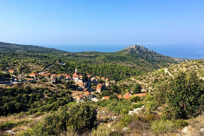 Hvar Lavender Tour - A Deep Dive into the Hvar Lavender Tour