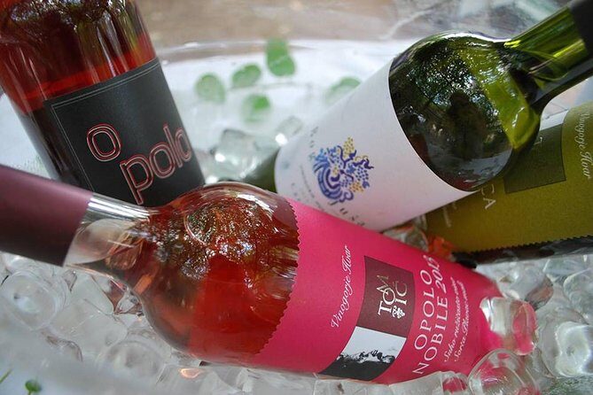 Hvar Wine tasting small group experience - Final Thoughts