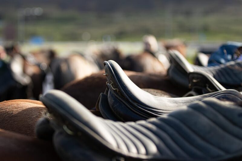 Hveragerdi: Countryside Charm Horse Riding Tour - Included in the Tour