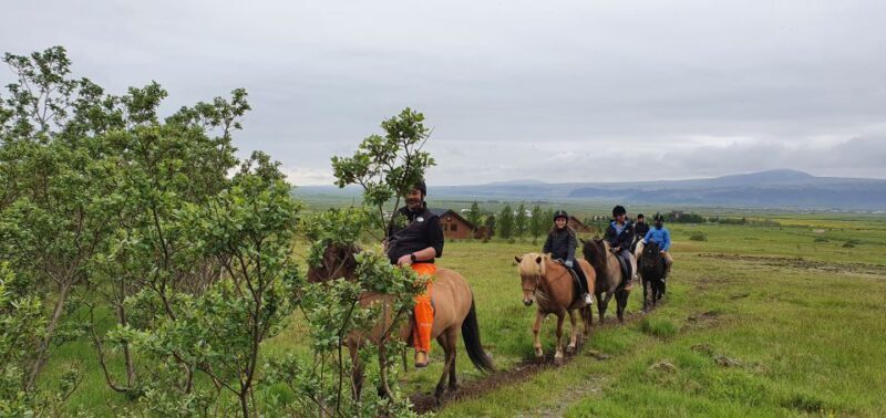 Hveragerdi: Reykjadalur (Hotspring Valley) Horse Riding Tour - Key Points