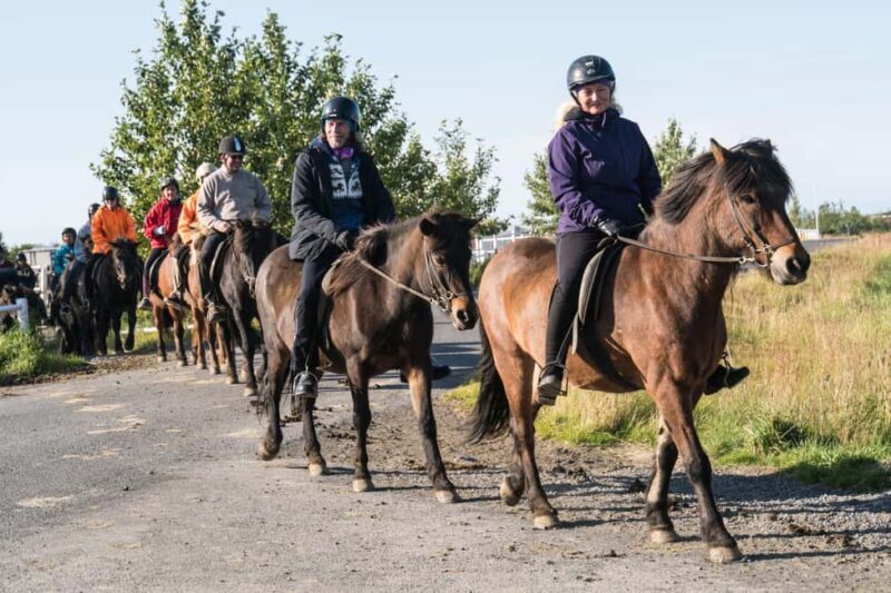 Hveragerdi: The Siggi Horse Riding Tour - Key Points