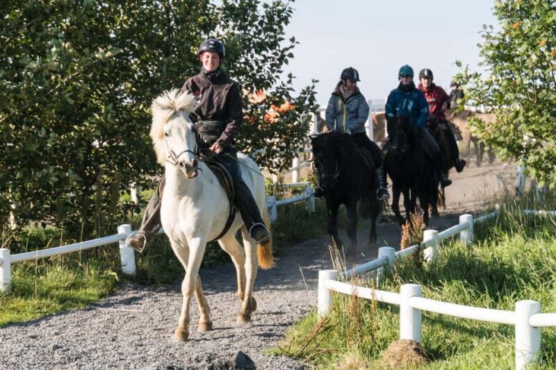 Hveragerdi: The Siggi Horse Riding Tour - An In-Depth Look at the Siggi Horse Riding Tour