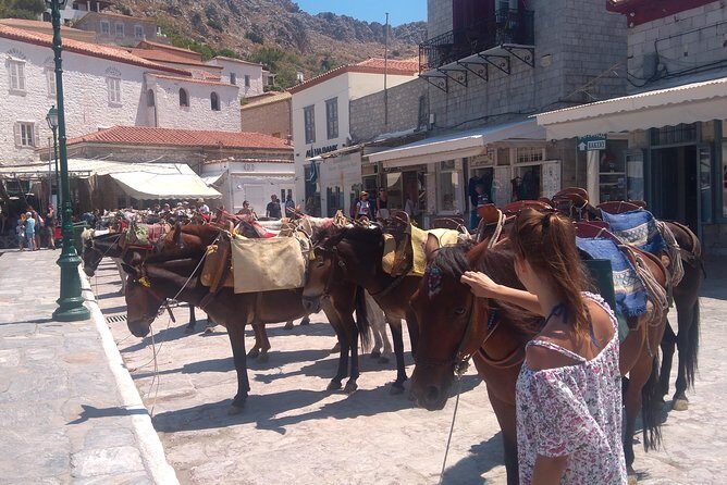 Hydra Island Day Tour with your Private Guide in the Most Cosmopolitan Island - FAQ