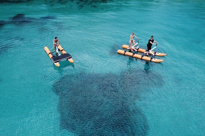 Hydrobike tour with aperitif and dolphins - The Sum Up: Who Is This Tour Best For?