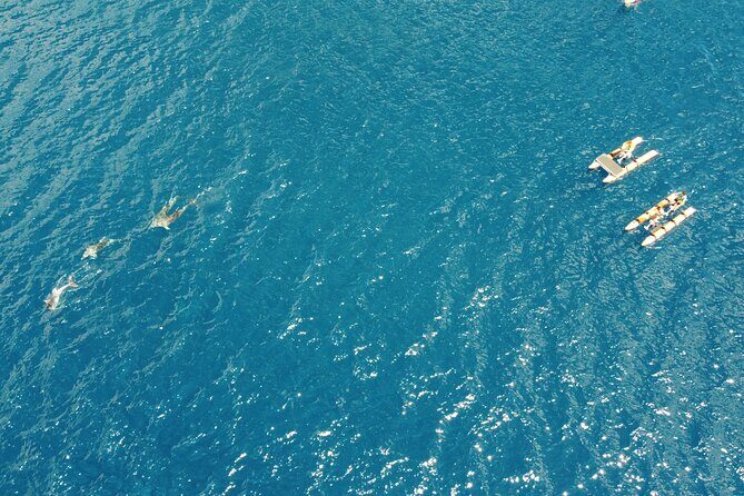 Hydrobike tour with aperitif and dolphins - FAQ