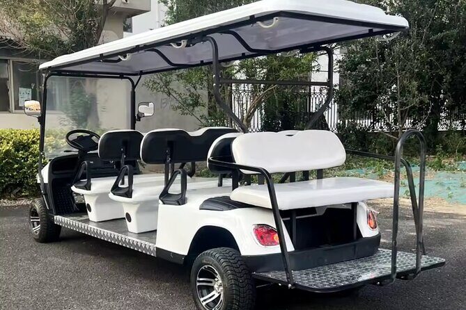 i conic golf cart tour of rome - Who Should Consider This Tour?
