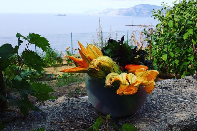 I offer cooking lesson of Amalfi tradition - Final Thoughts