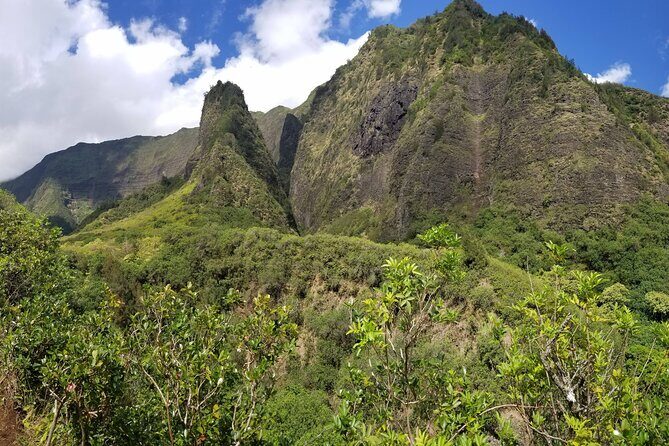Iao Valley Nature Walk - A Closer Look at the Iao Valley Nature Walk